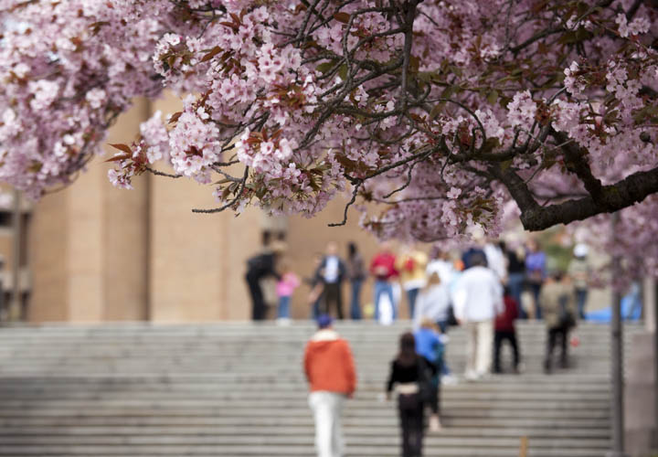 Summer classes at Macomb start May 23 and June 30